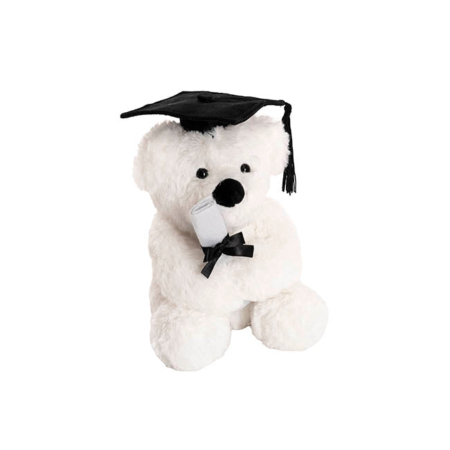 Graduation Teddy Bear Harvey Plush Soft Toy White (20cmST) – The Soft ...