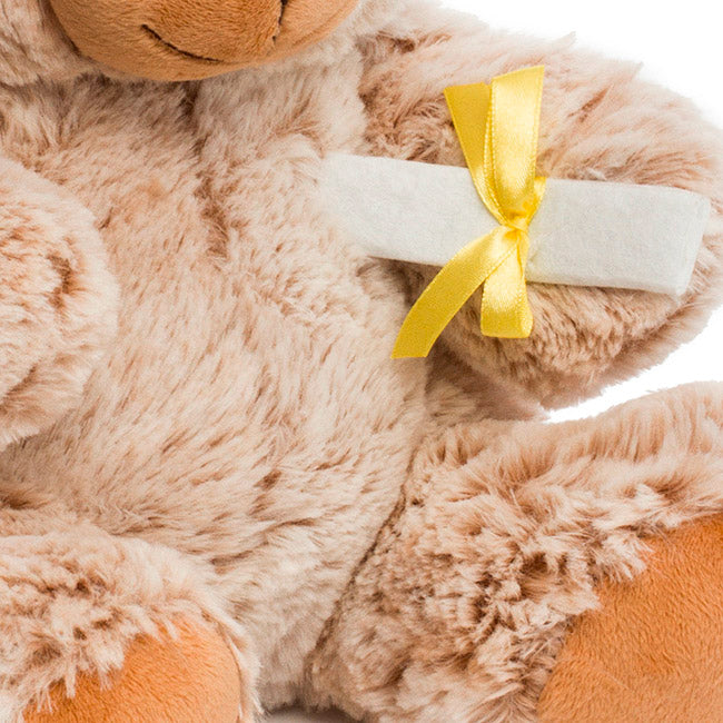 Graduation Teddy Bears – The Soft Toy Shop