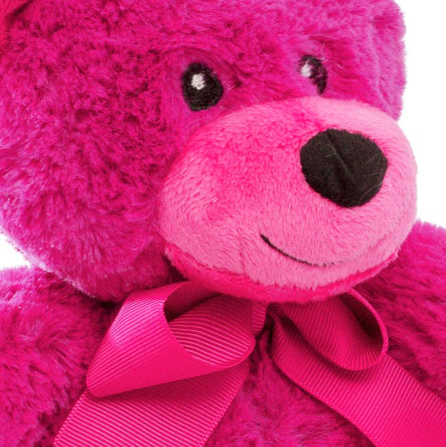 Hot Pink Teddy Bear